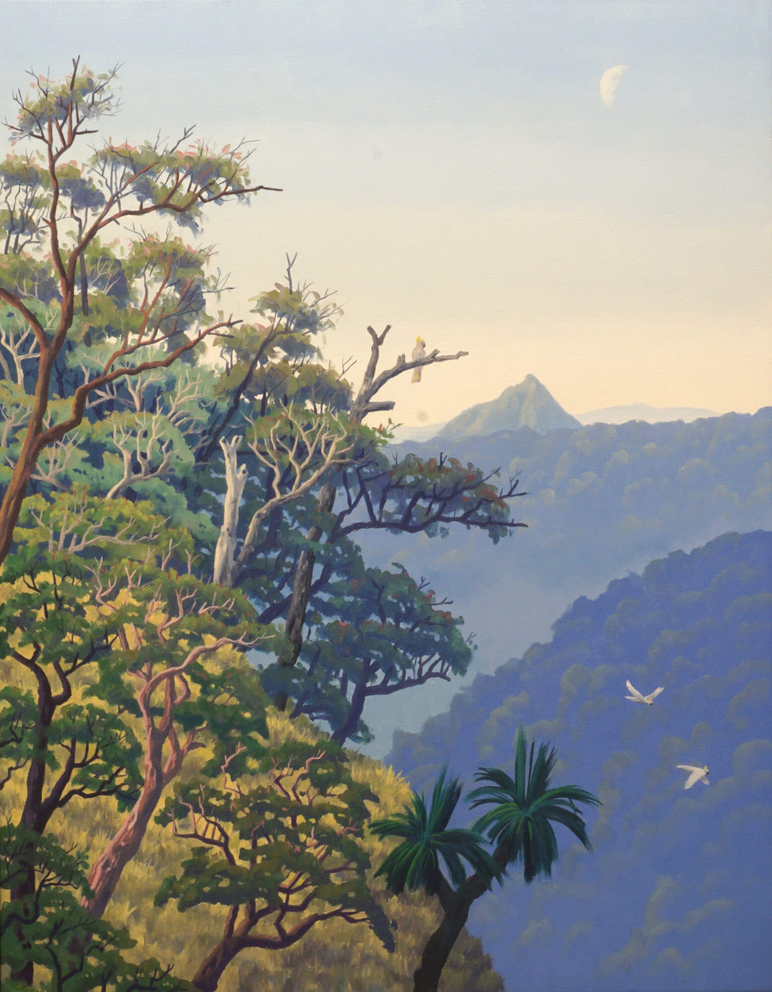 Ghost Tree - Dave Groom Australian Contemporary Landscape Artist